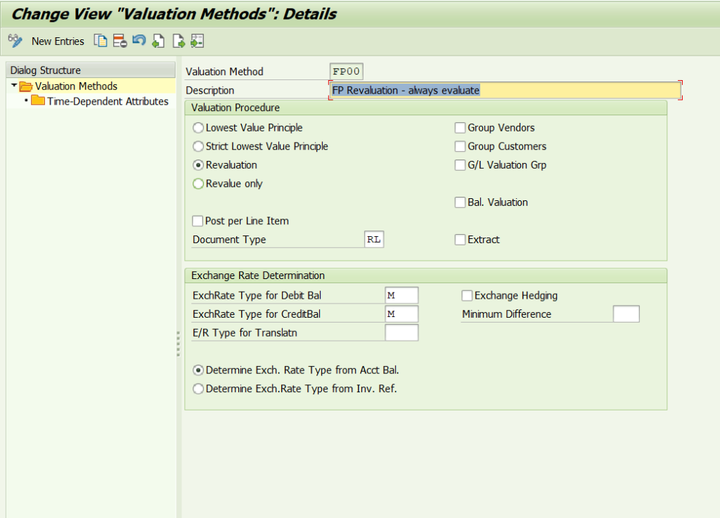 Freely-Definable Currency and Financial Statement Version (FSV) Setup ...