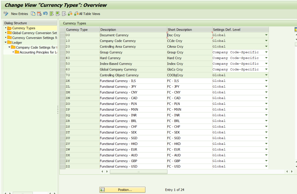 Freely-Definable Currency and Financial Statement Version (FSV) Setup ...