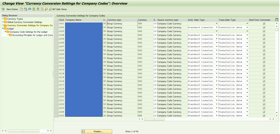 Freely-Definable Currency and Financial Statement Version (FSV) Setup ...