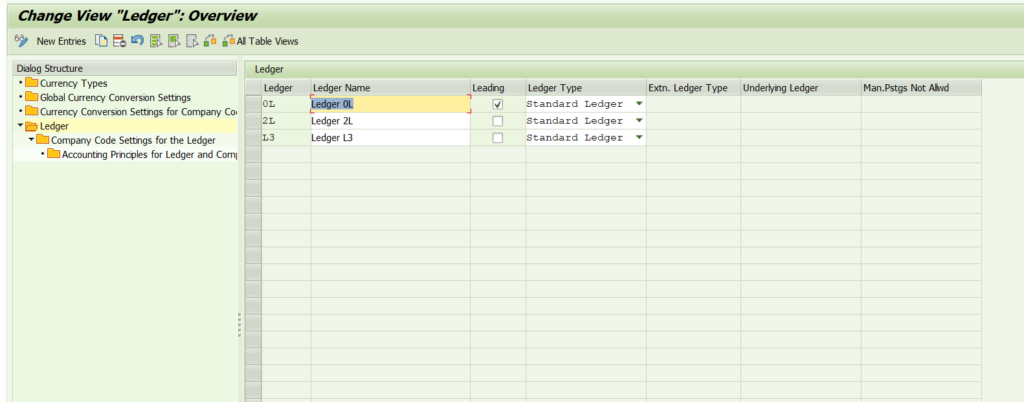 Freely-Definable Currency and Financial Statement Version (FSV) Setup ...