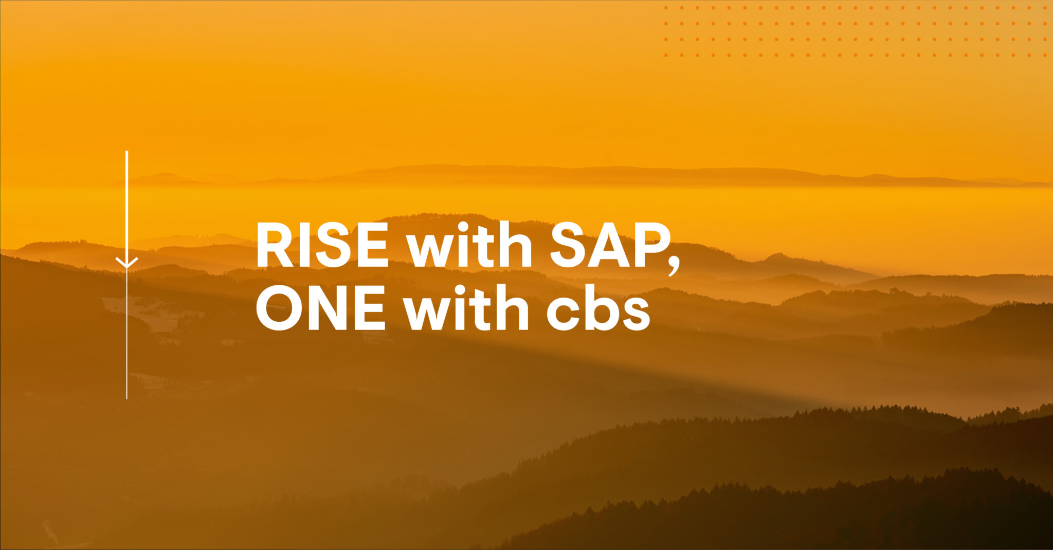 cbs Corporate Business Solutions - Mastering SAP