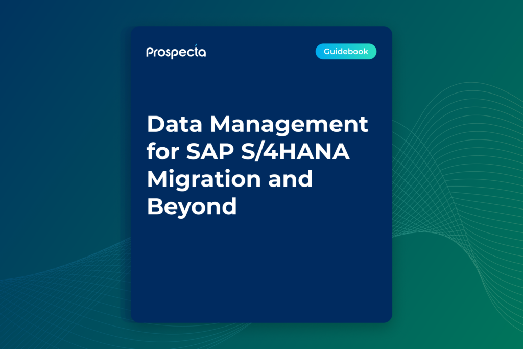 Prospecta Software - Mastering SAP