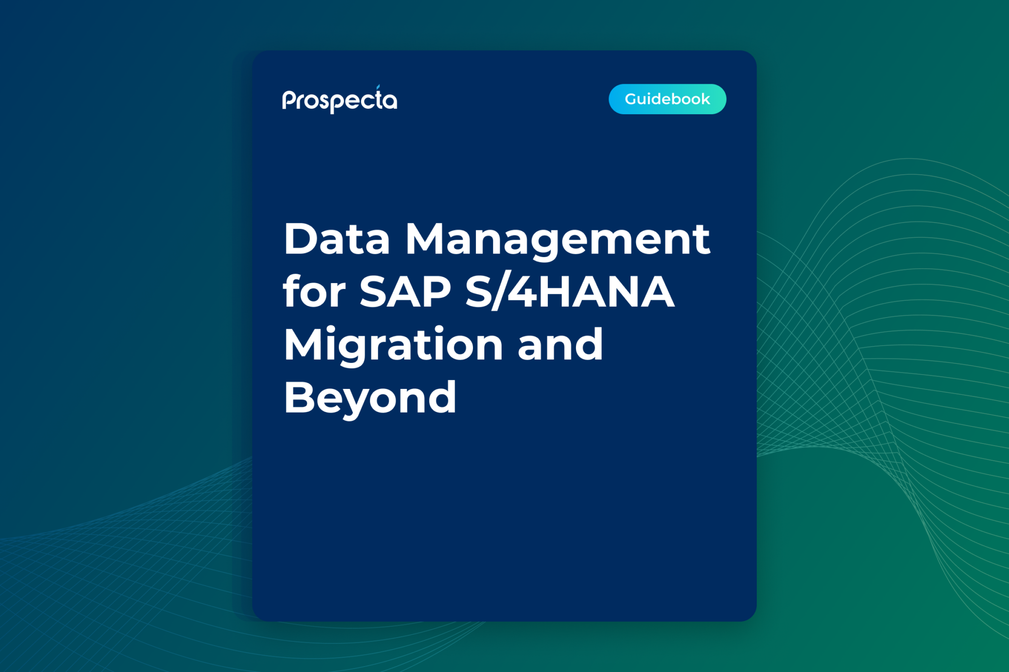 Prospecta Software - Mastering SAP