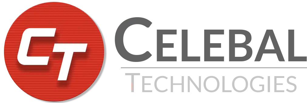 Celebal Technologies - Mastering SAP