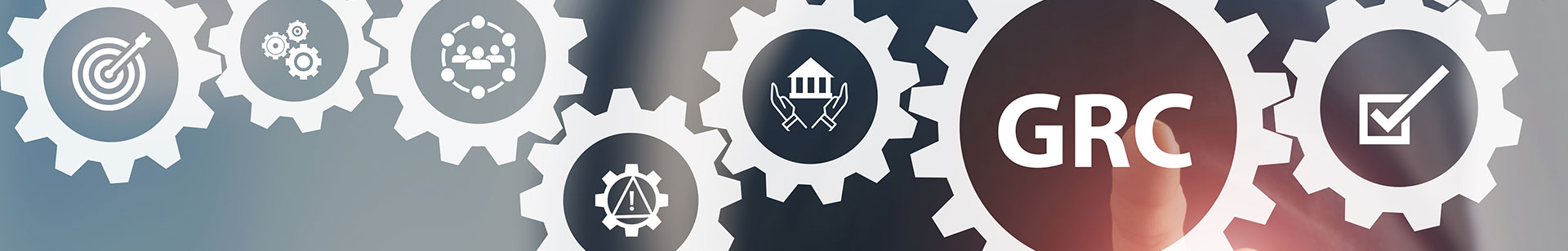 Case Study: How ConocoPhillips Conducts User Access Reviews in SAP GRC ...