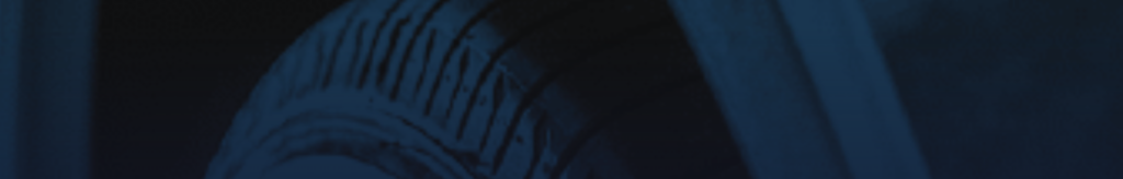 Case Study: Driving Governance at Bridgestone - Mastering SAP