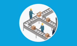 The Config Team - Mastering SAP